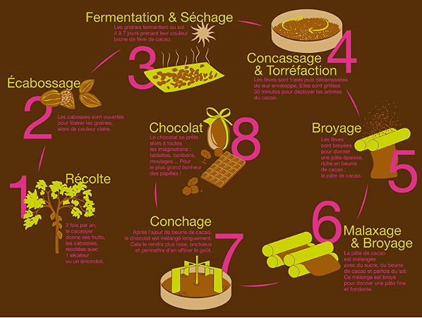 Hummm... le chocolat